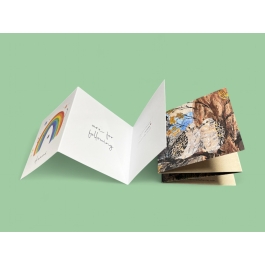 Concertina, Occasion Greeting Cards with 6 & 8 Pages