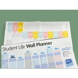 Custom Wall Planner Printing | Academic or Annual