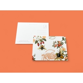 Recycled Postcard Printing |All Sizes, All Eco, All Fab | A Local Printer