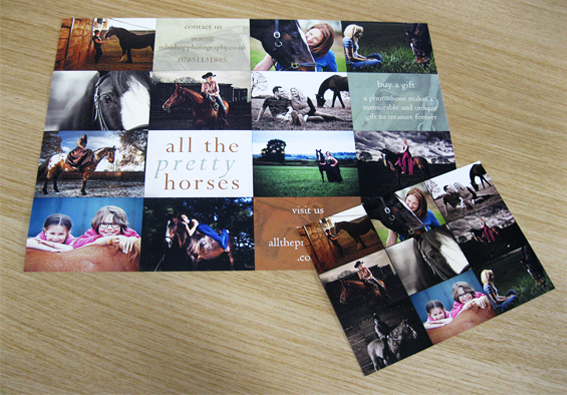 Horse lovers will want to check out these printed posters & flyers - Blog